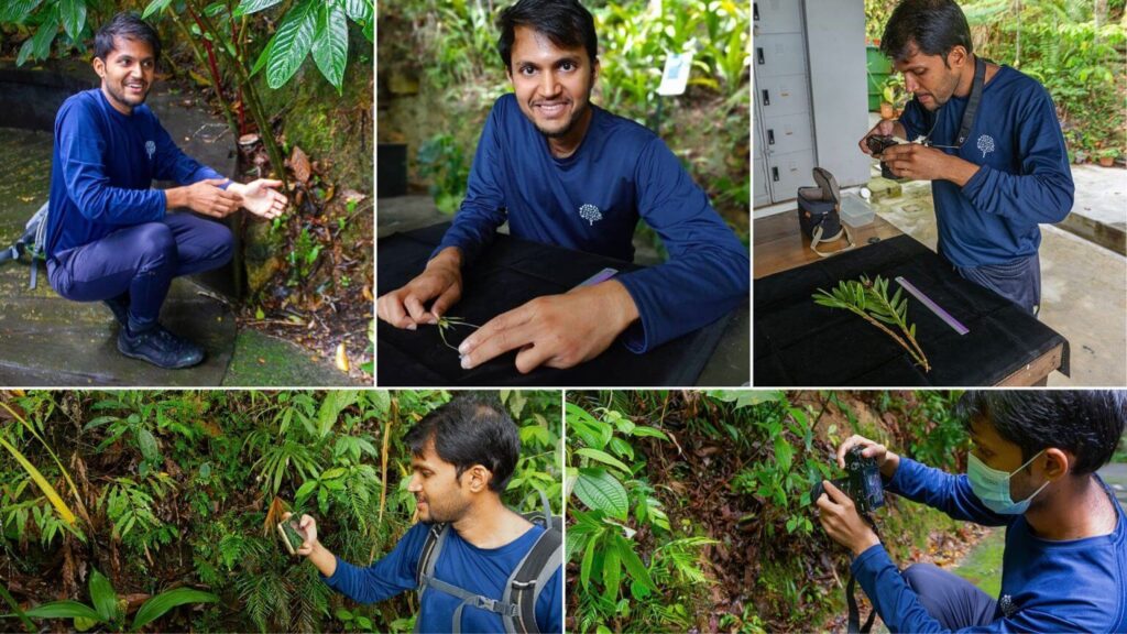Orchid Diversity of Penang Hill : The Habitat Foundation
