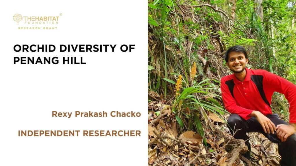 Orchid Diversity of Penang Hill : The Habitat Foundation